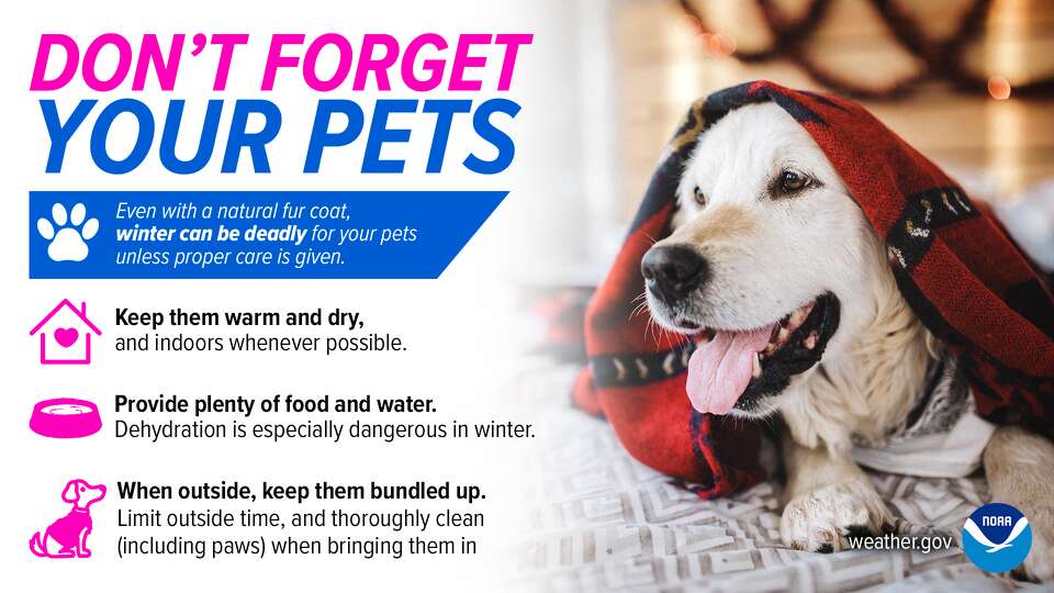 Texas cold weather: 9 things you should never leave in your car