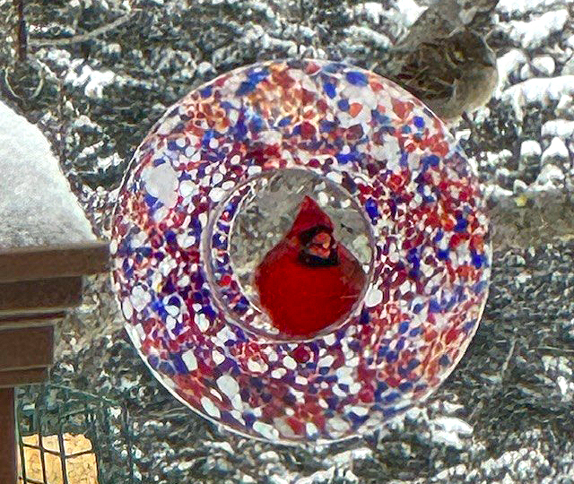 No. 8 Iowa State uses an early run to start 97-67 blowout against Colorado