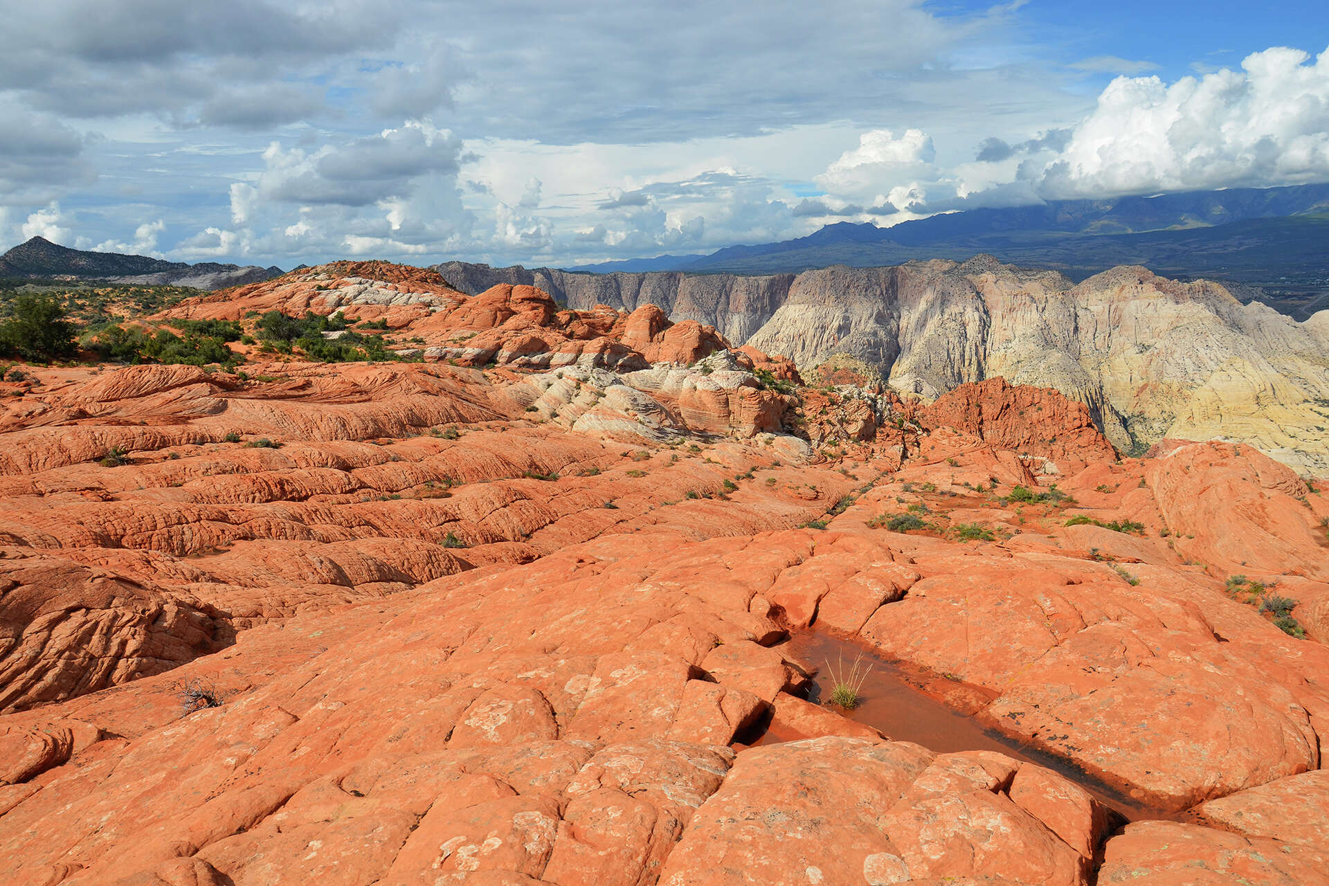 Trump administration to build highway through Utah conservation area