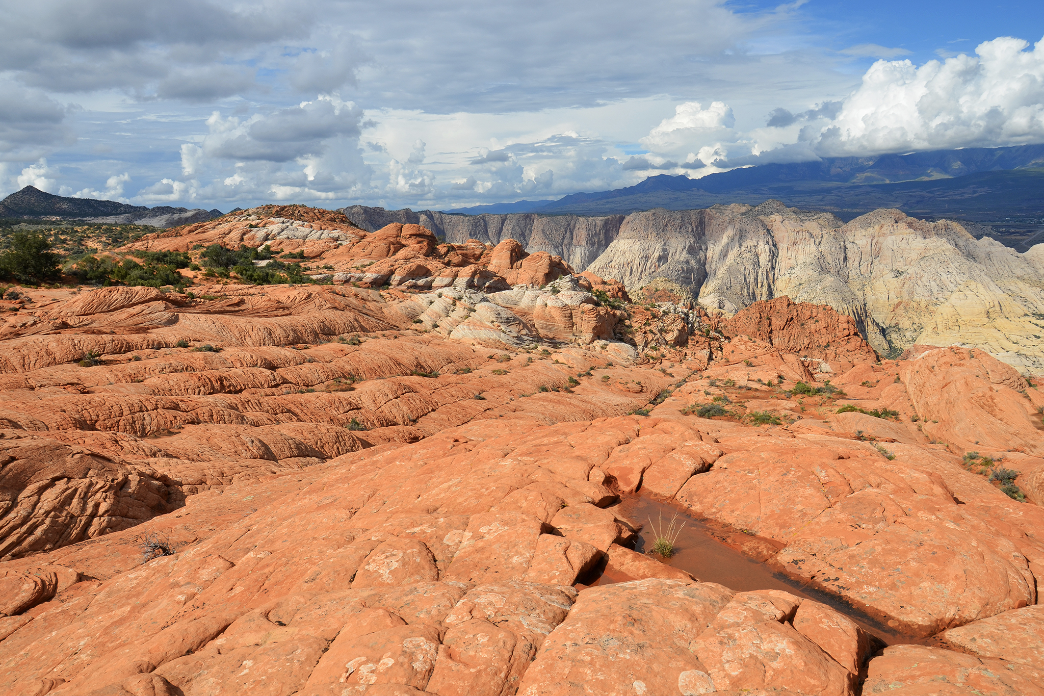 Trump administration to build highway through Utah conservation area