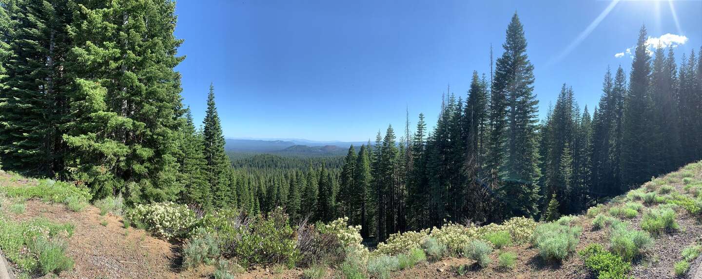 Trump opposes Northern California national monument’s protected status