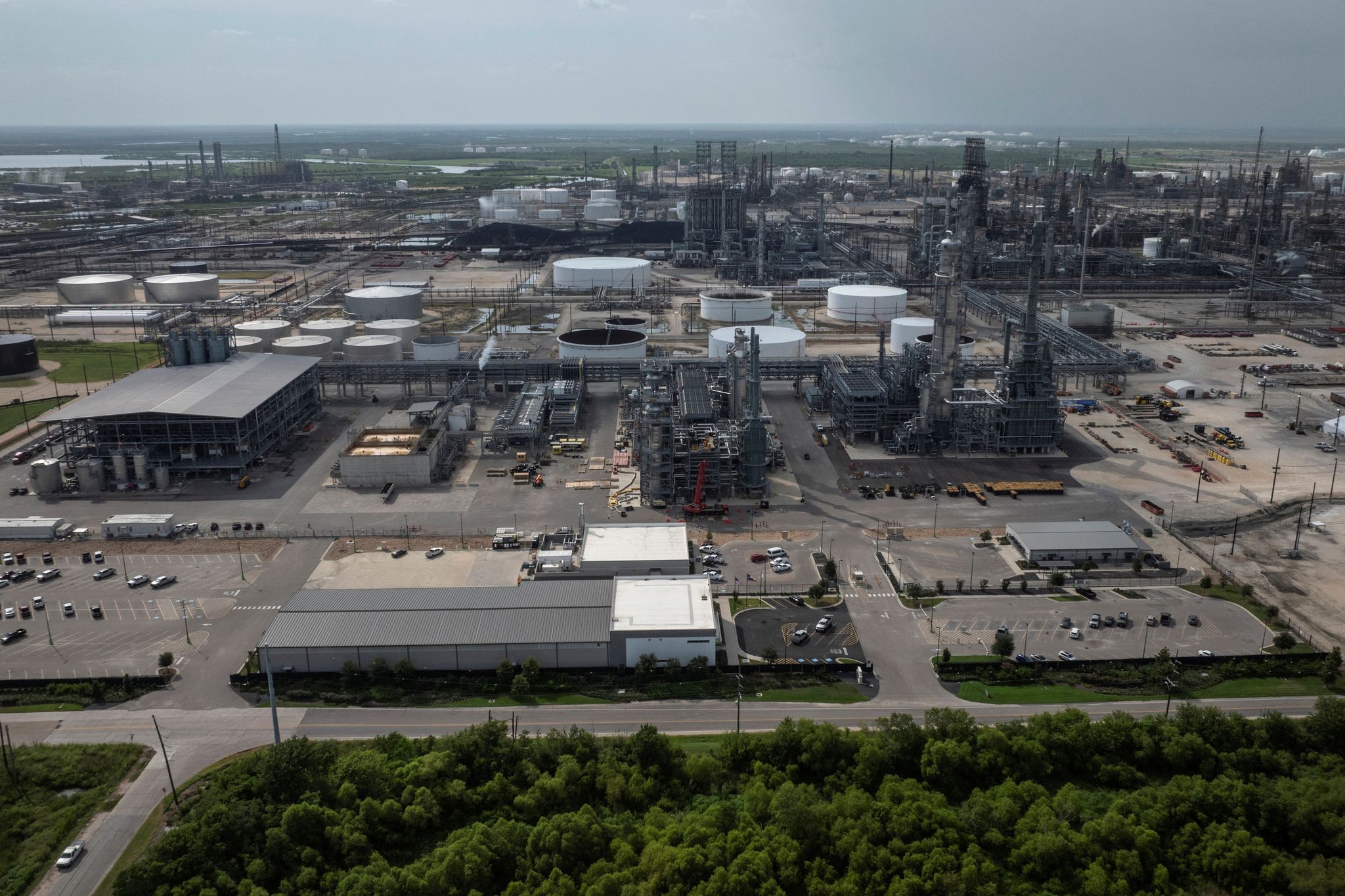 Texas refinery turns Amazon-destroying cattle into 'green' jet fuel