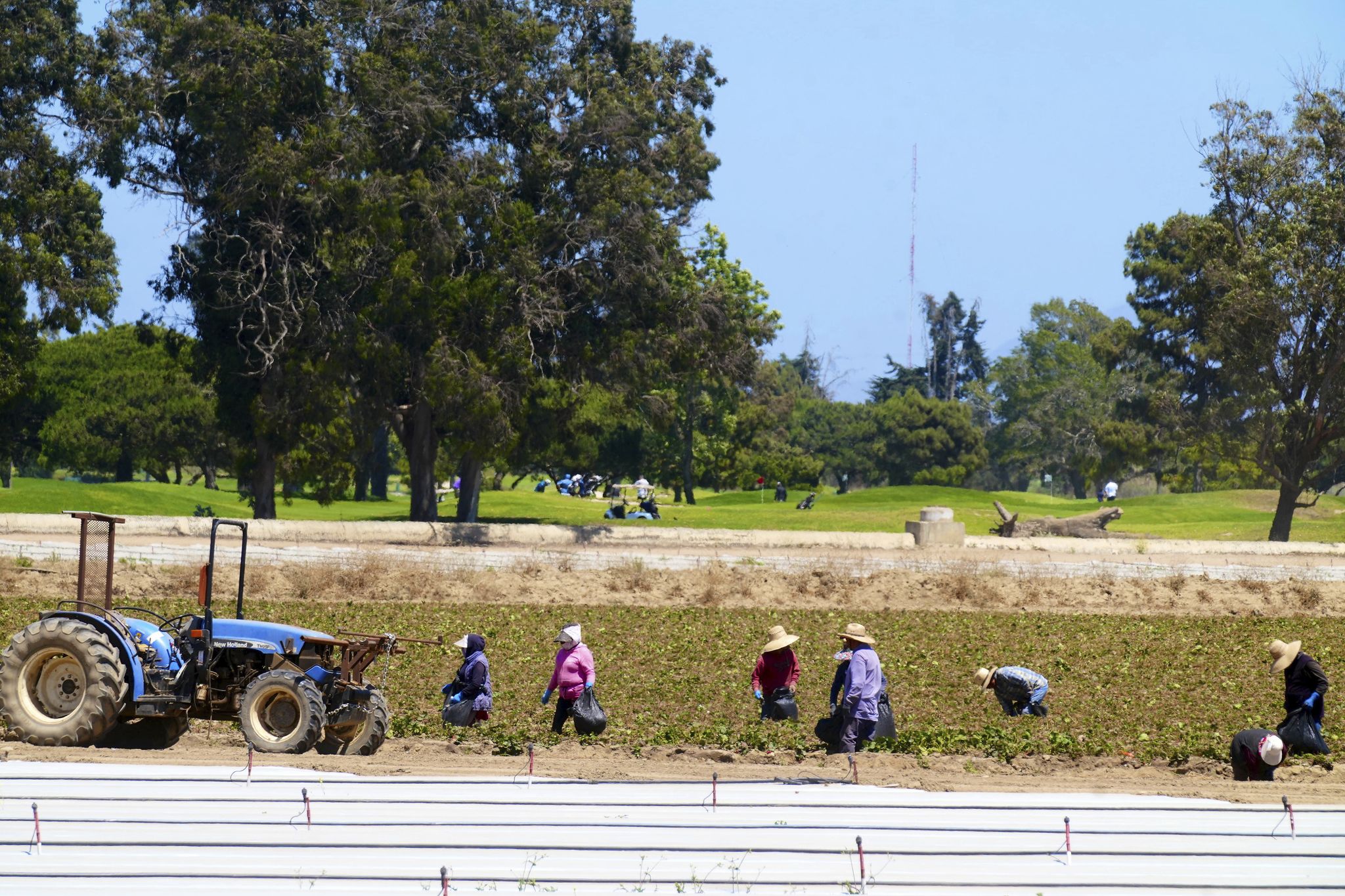 Visa program overhaul for farm workers nods to failure of immigration raids