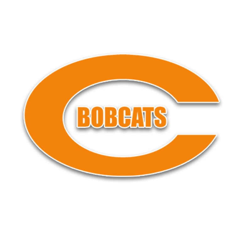 Celina defeats Decatur