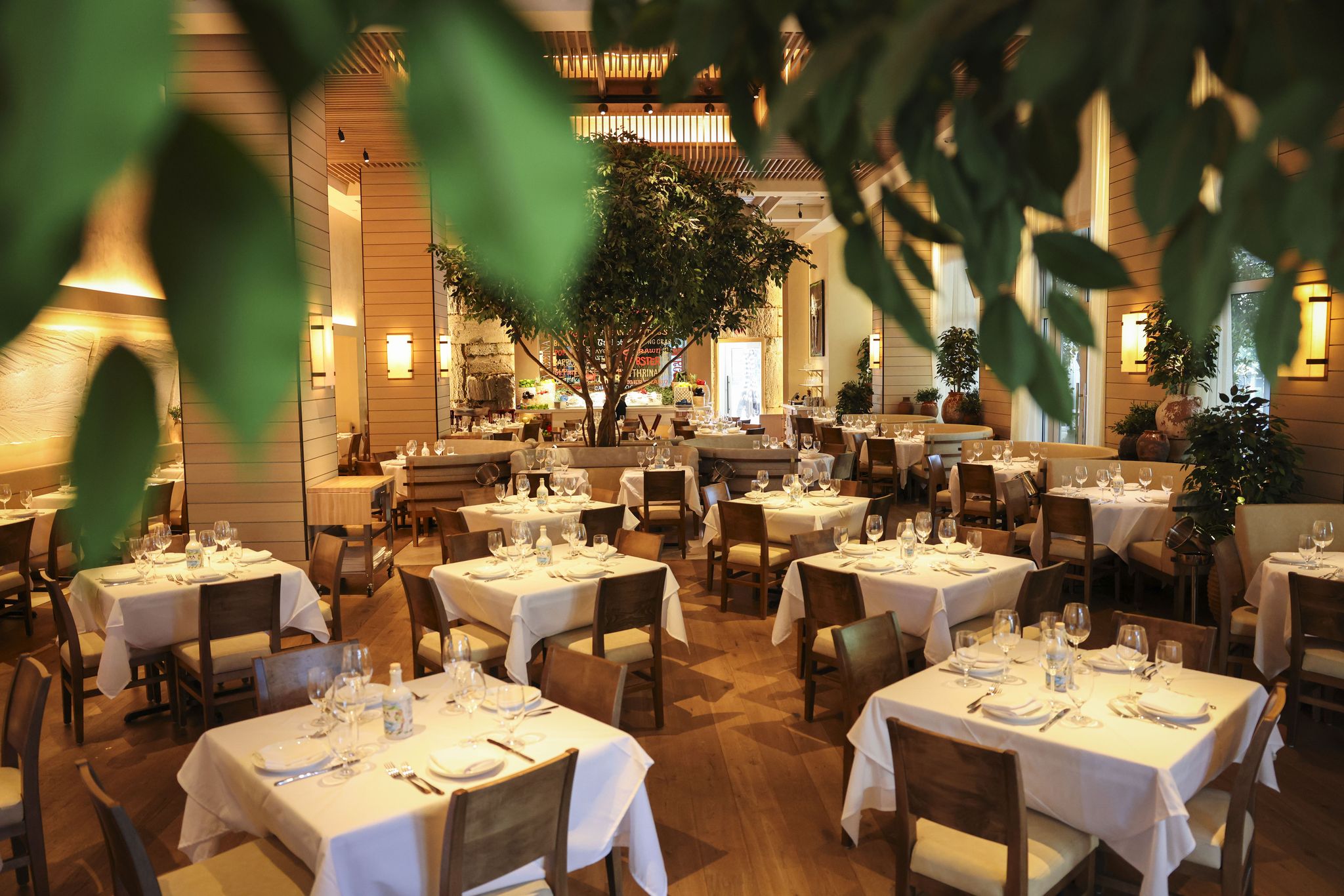 Upscale Greek restaurant Avra is open in Dallas