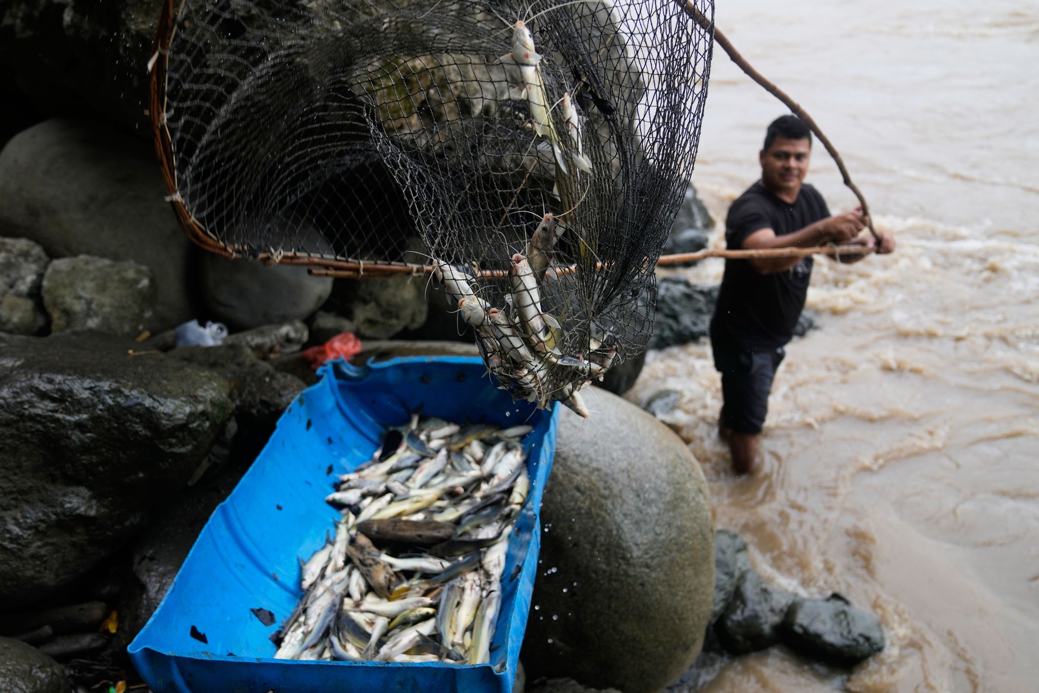 "Subienda", la migración de peces que pescadores artesanales ...
