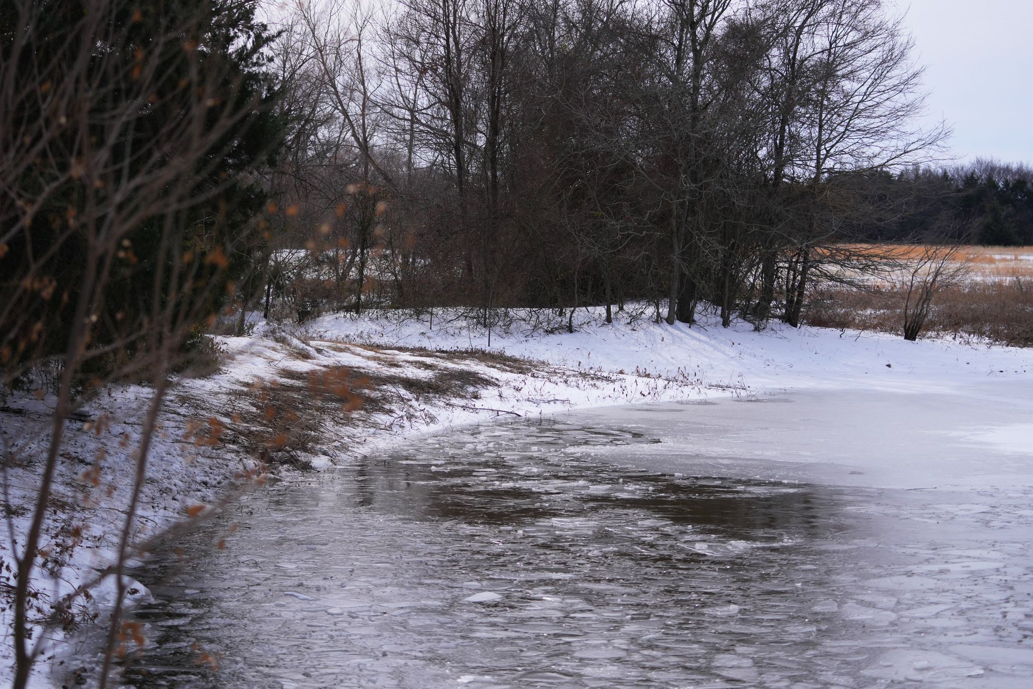 North Texas mom recalls final moments of sons who died in icy pond
