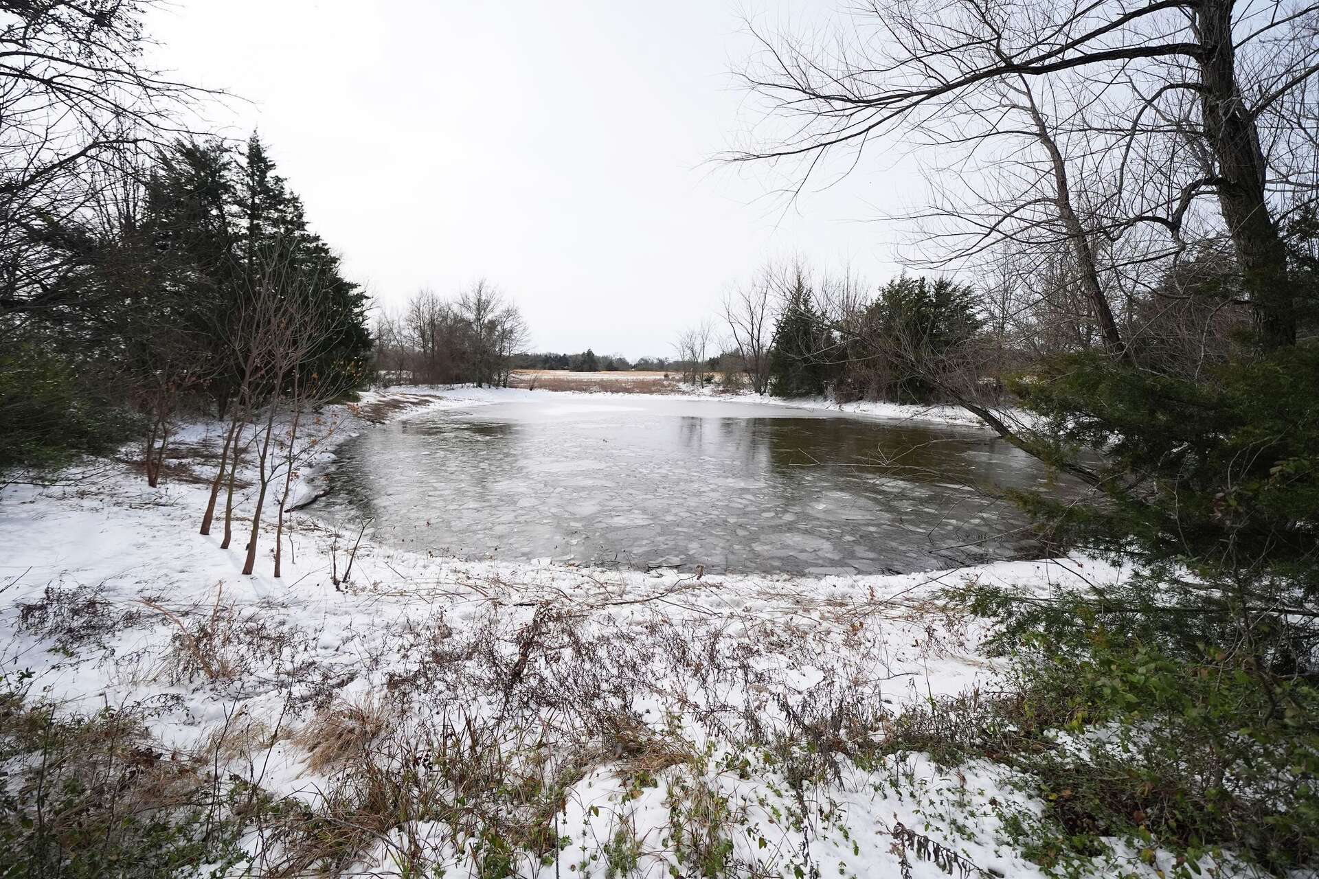 Texas coach helped mother of boys who died in Bonham pond accident