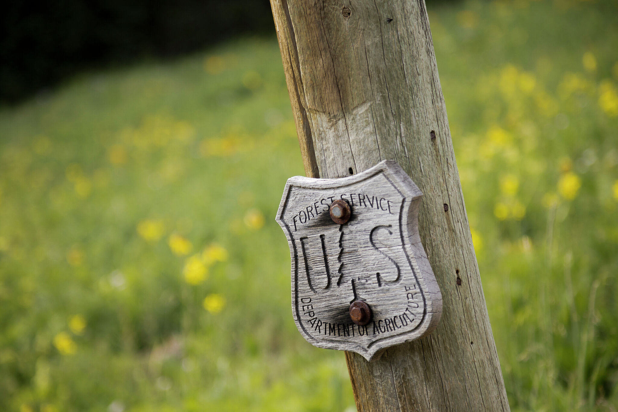 Trump administration says San Jose State broke the law by allowing a ...