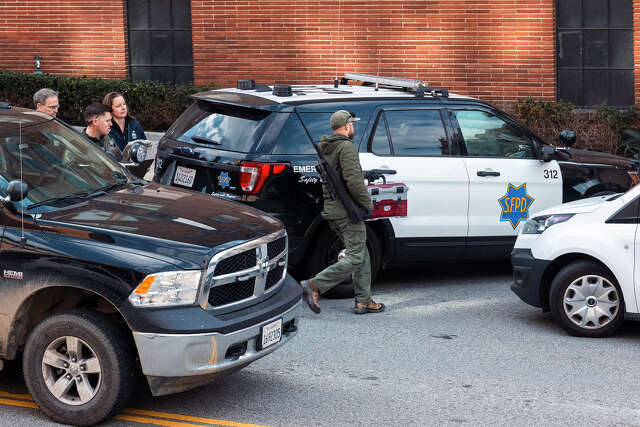 'Majestic' mountain lion captured after hourslong SF standoff