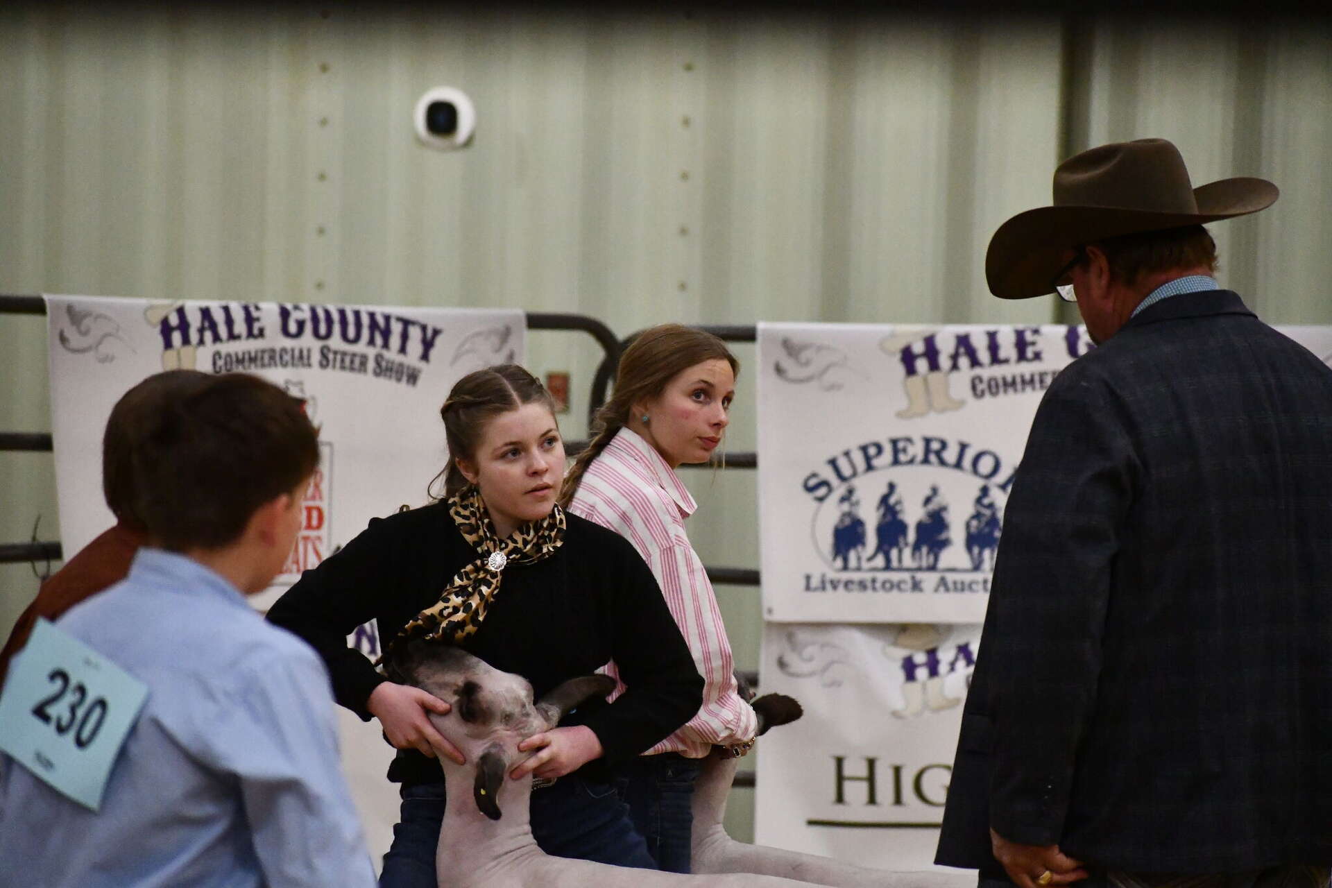 4-H, FFA members shine at Hale County Stock Show