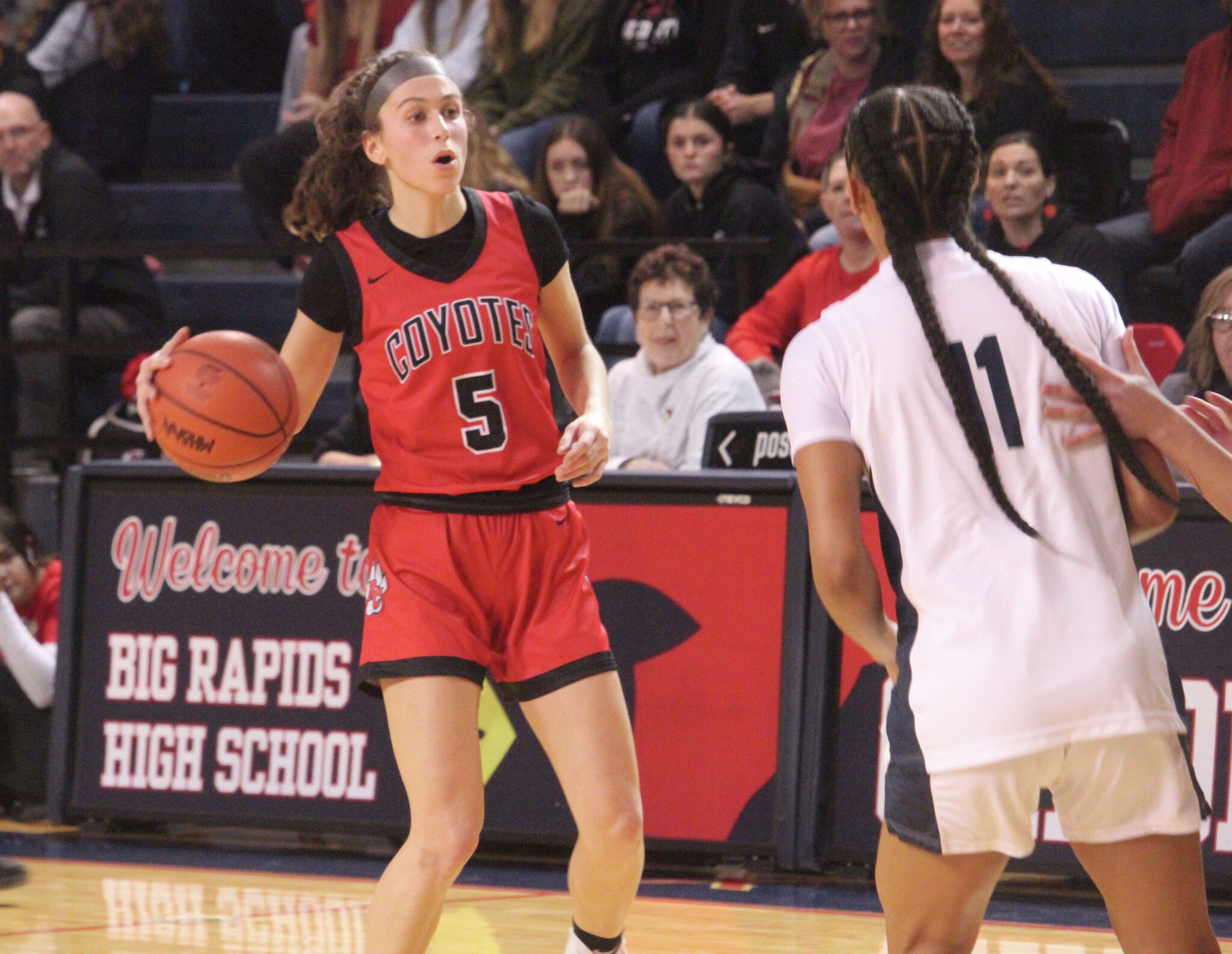 Reed City girls roll over Carson City-Crystal