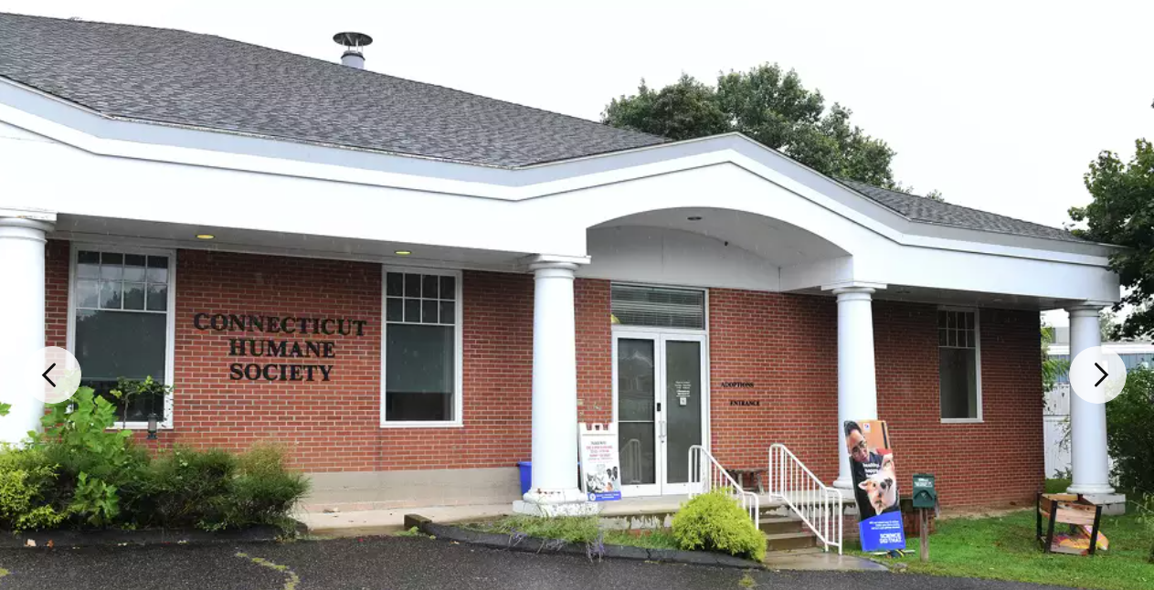 Westport plan would redevelop old Humane Society site into apartments