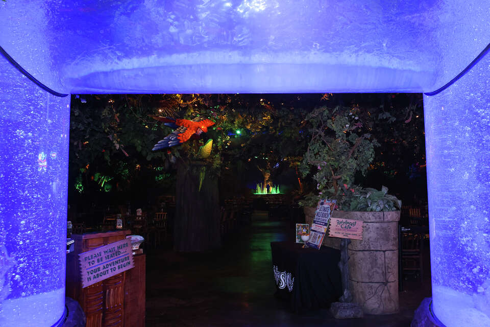 California's last Rainforest Cafe clings to life in an aging mall