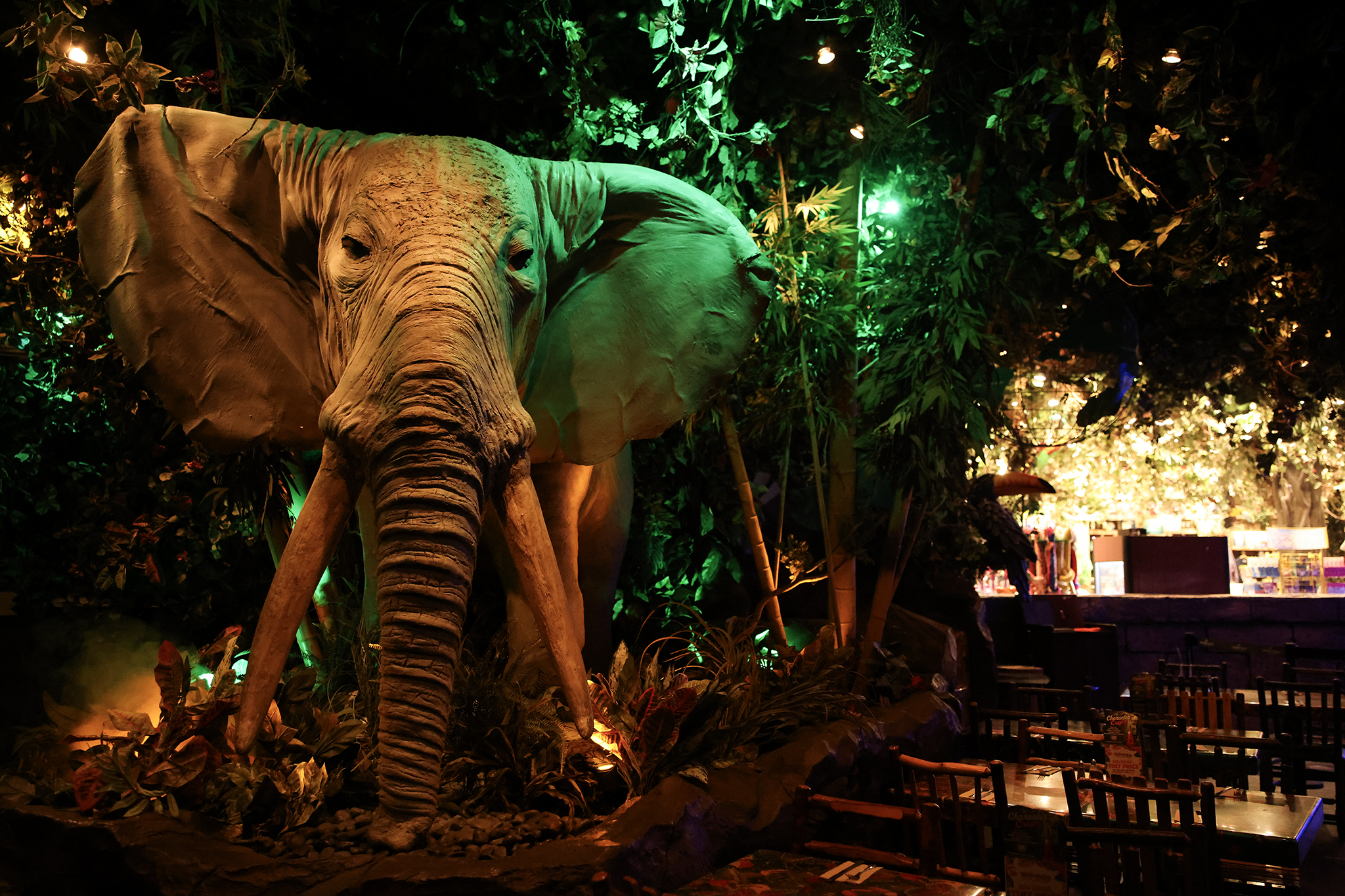 California's last Rainforest Cafe clings to life in an aging mall