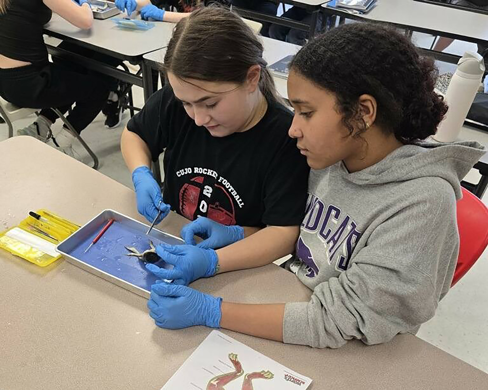 Reed City senior basketball leader having another strong season