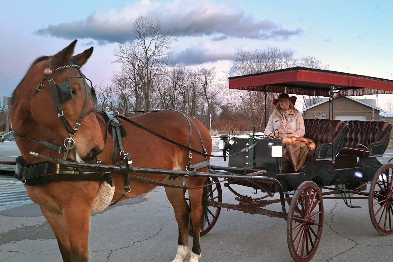 Tullin Ranch operator faces eviction after carriage ride proposal