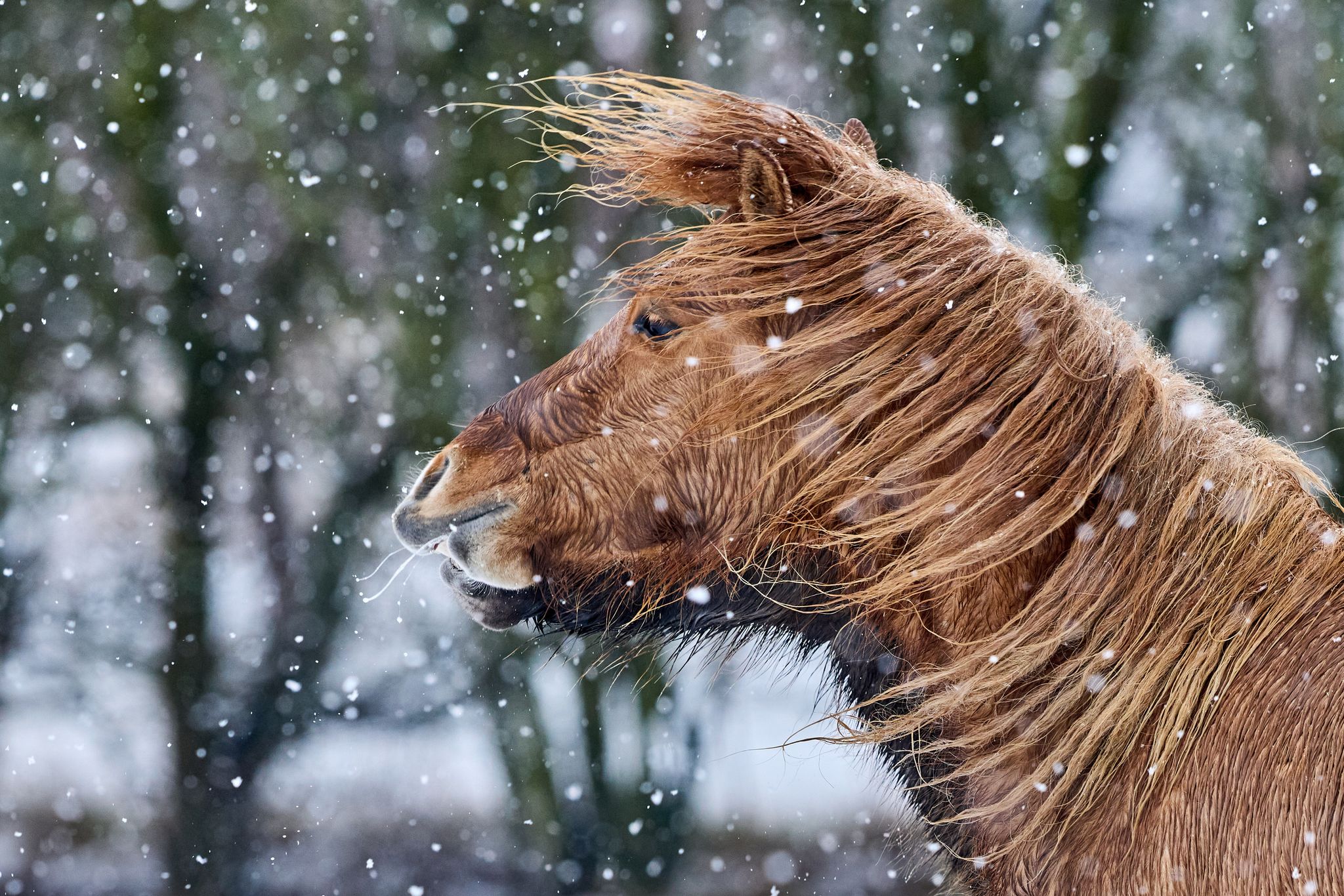 The top photos of the day by AP's photojournalists