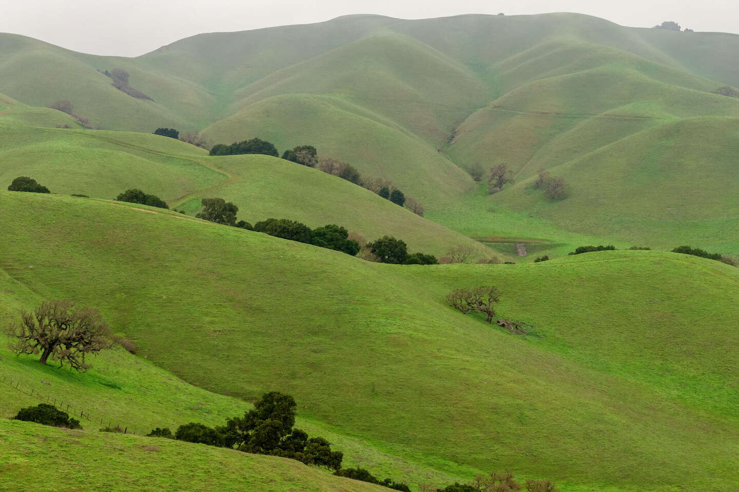 Major California ranch bought by land trust, halting plan for a quarry