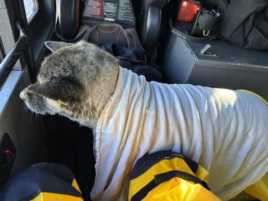 WARN Act probe begins after abrupt Alton Steel shutdown