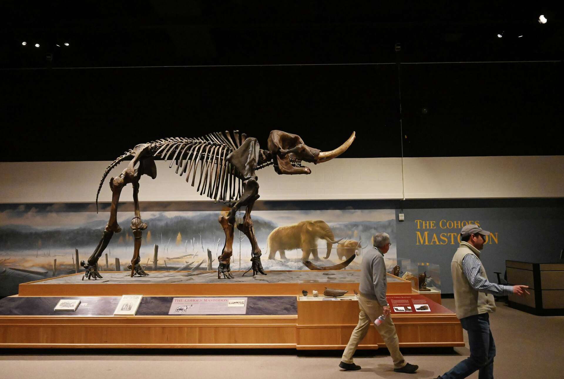 NY State Museum unveils plans for first phase of $150M renovation