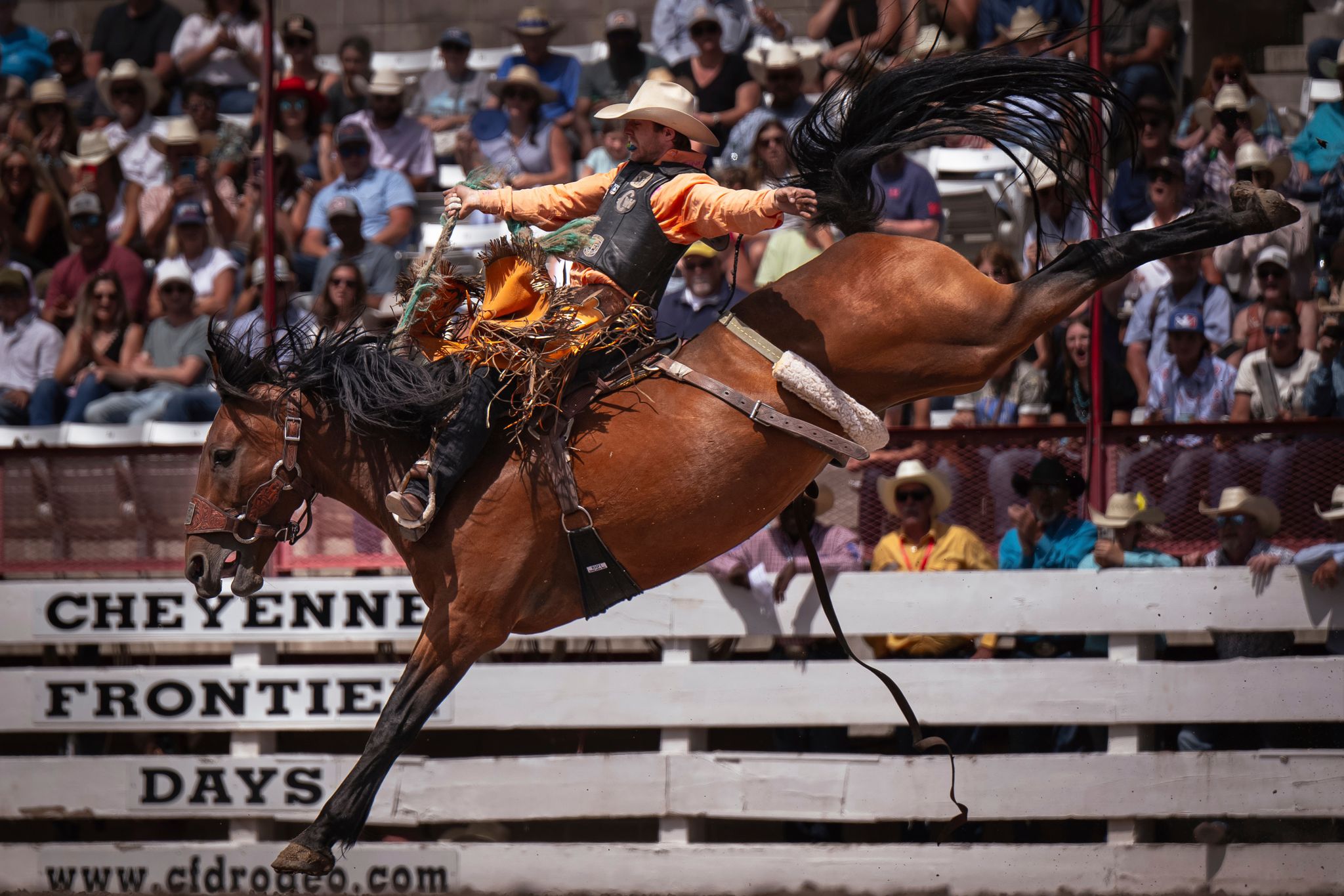 As pro rodeo considers moving HQ to Wyoming, conservative lawmakers ...