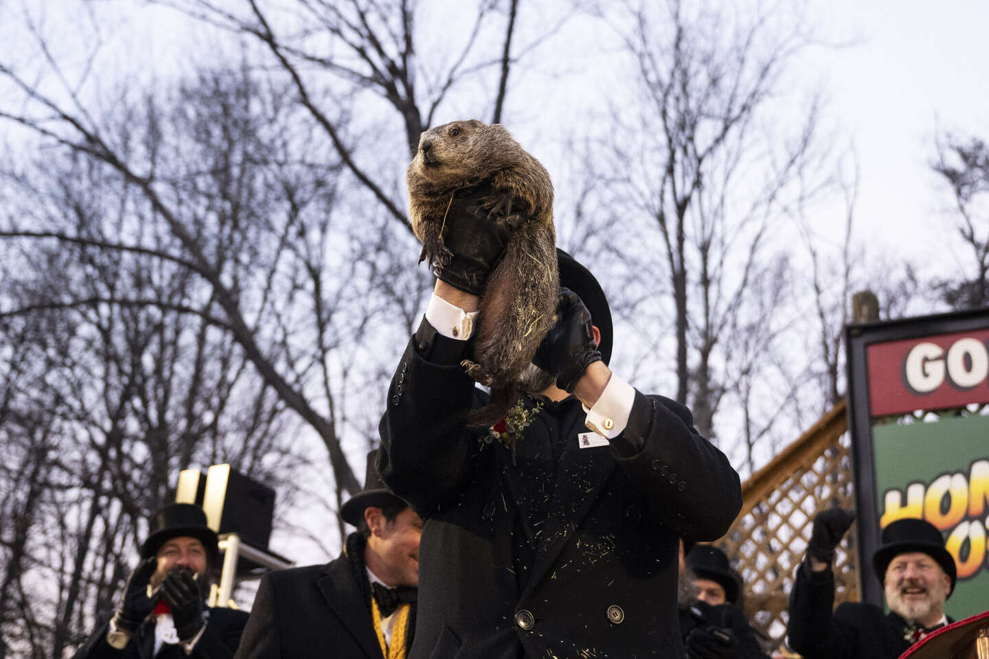 Groundhog Day’s 51 quirky animal forecasters, explained