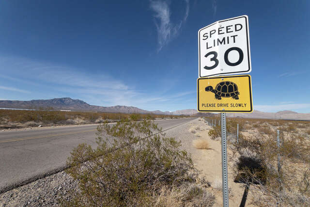 2,200 miles of Calif. dirt roads closed to protect desert tortoise