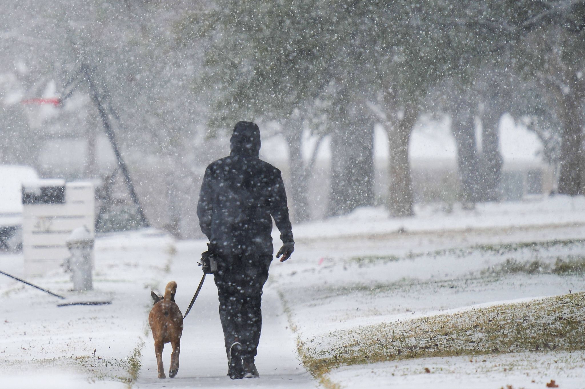 Video: Collin County snow prompts winter fun, closures