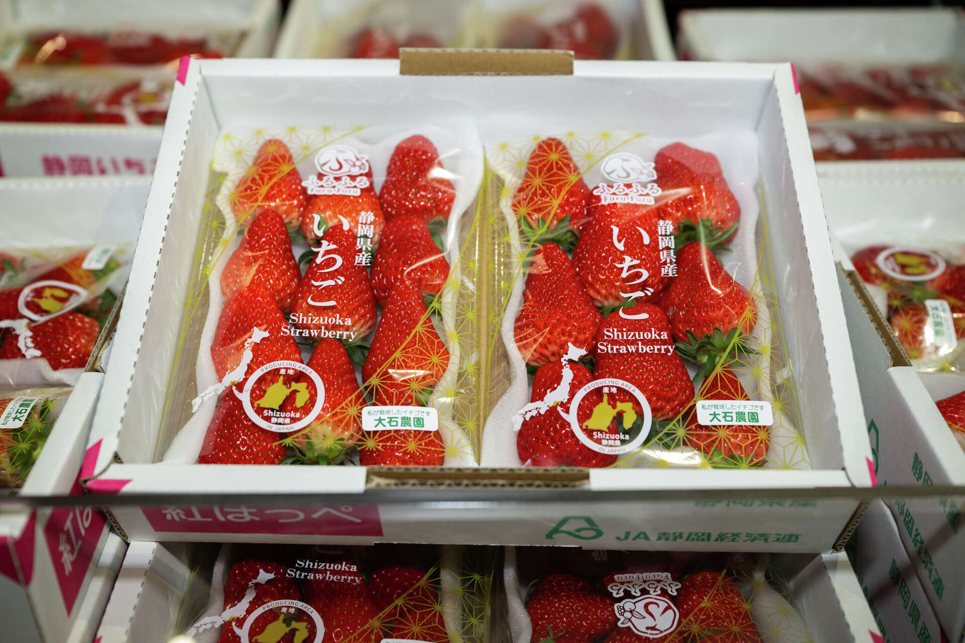 Bay Area’s newest Japanese supermarket draws huge crowd on opening day