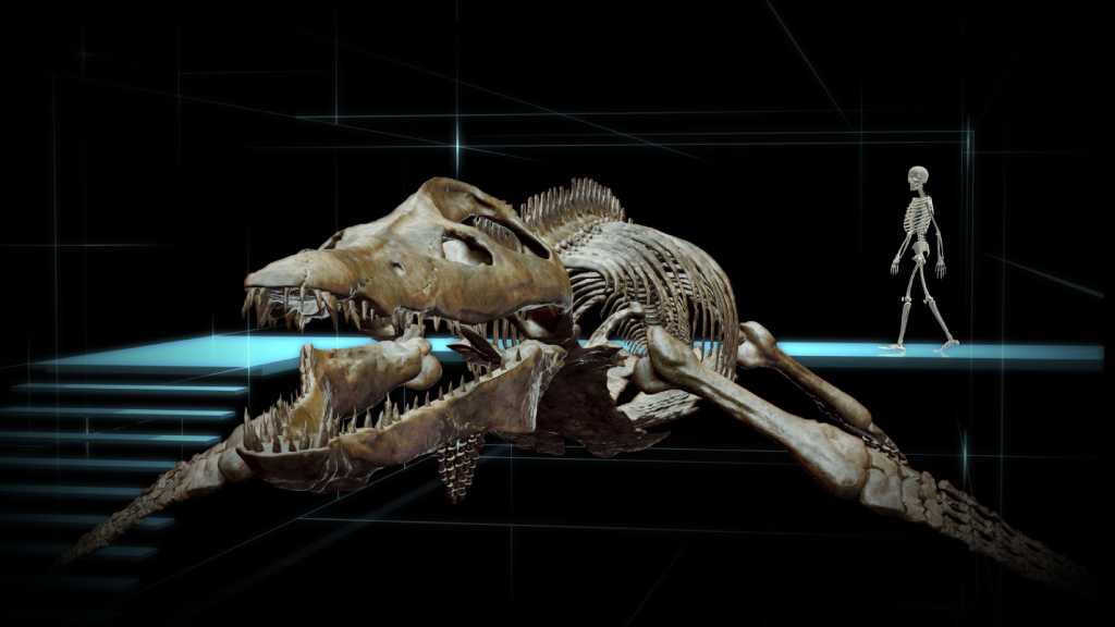 'Sea Rex 3D' opens at Connecticut Science Center in Harford