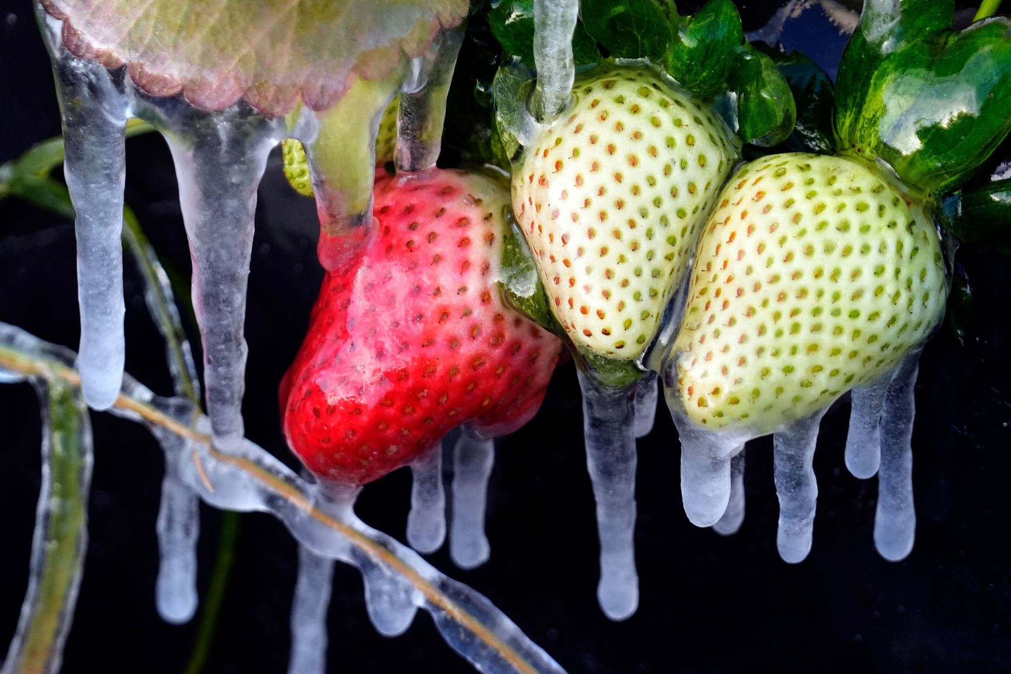 Winter storm across the US in photos