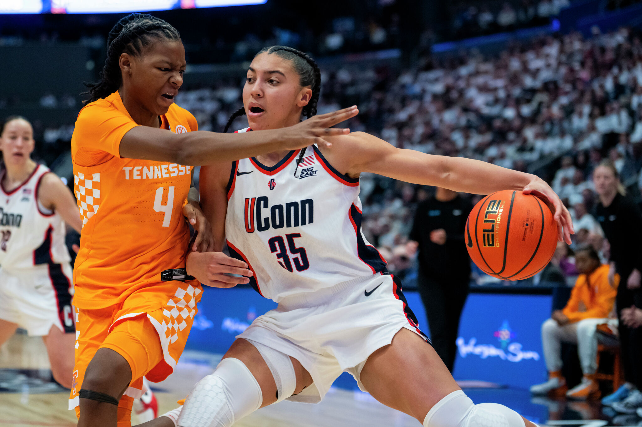 Poultry killed in East Haven chicken coop fire, chief says