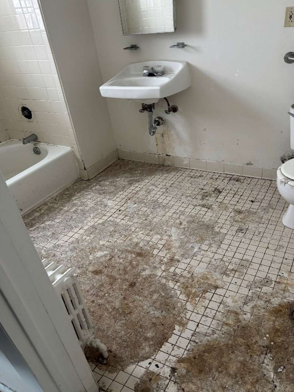 New York AG sues Kenney Apartments owners over ‘inhumane’ conditions