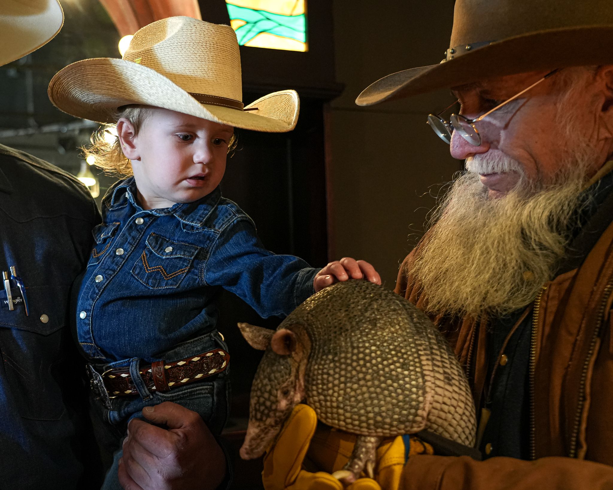 Bee Cave Armadillo Day skips Groundhog Day’s 'hairy Yankee rat'