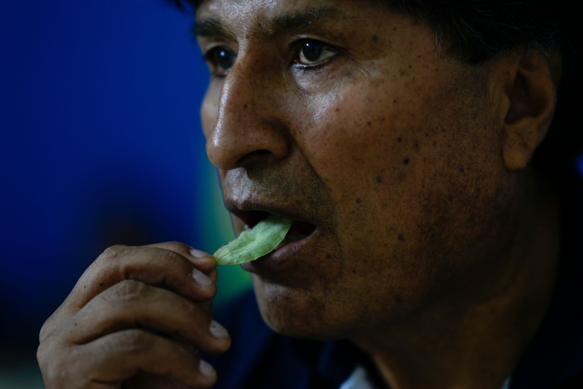Evo Morales reappears nearly 7 weeks after he vanished from the ...