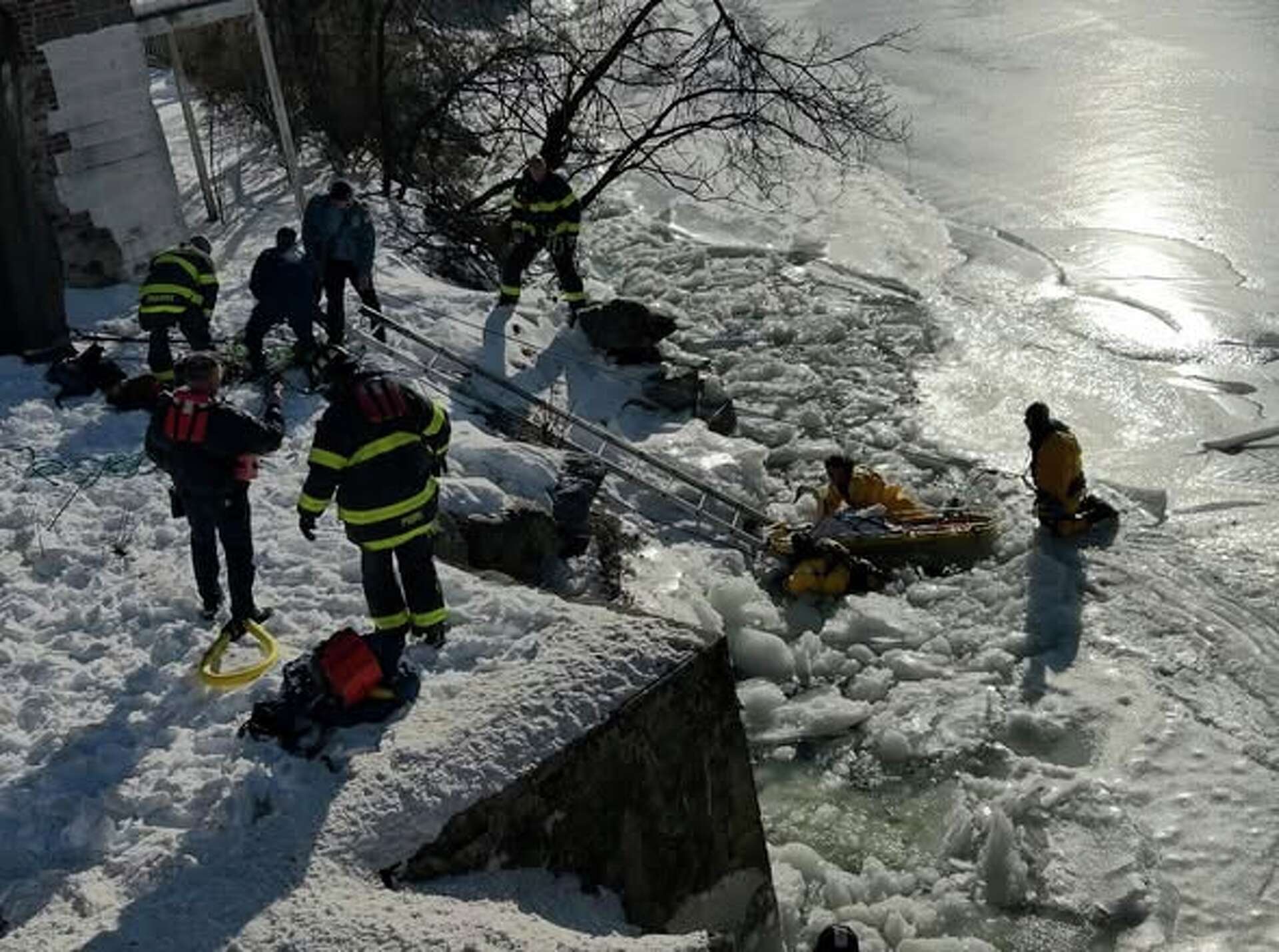 Norwalk firefighters rescue swan frozen in icy river