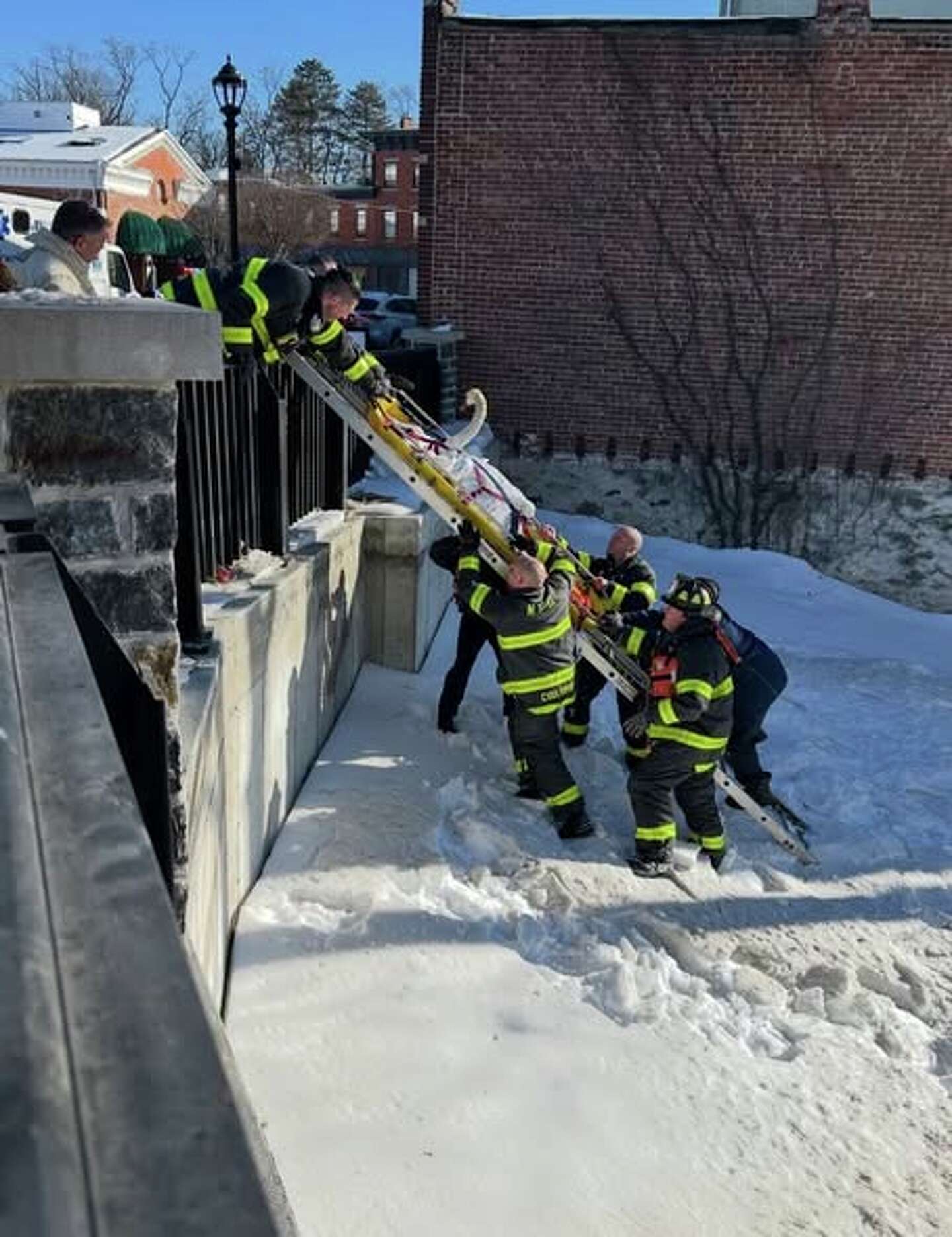 Norwalk firefighters rescue swan frozen in icy river