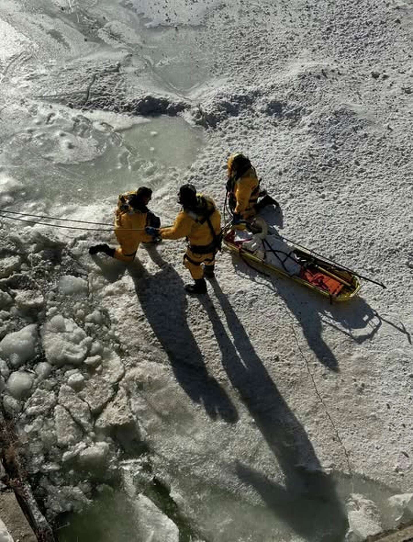 Norwalk firefighters rescue swan frozen in icy river