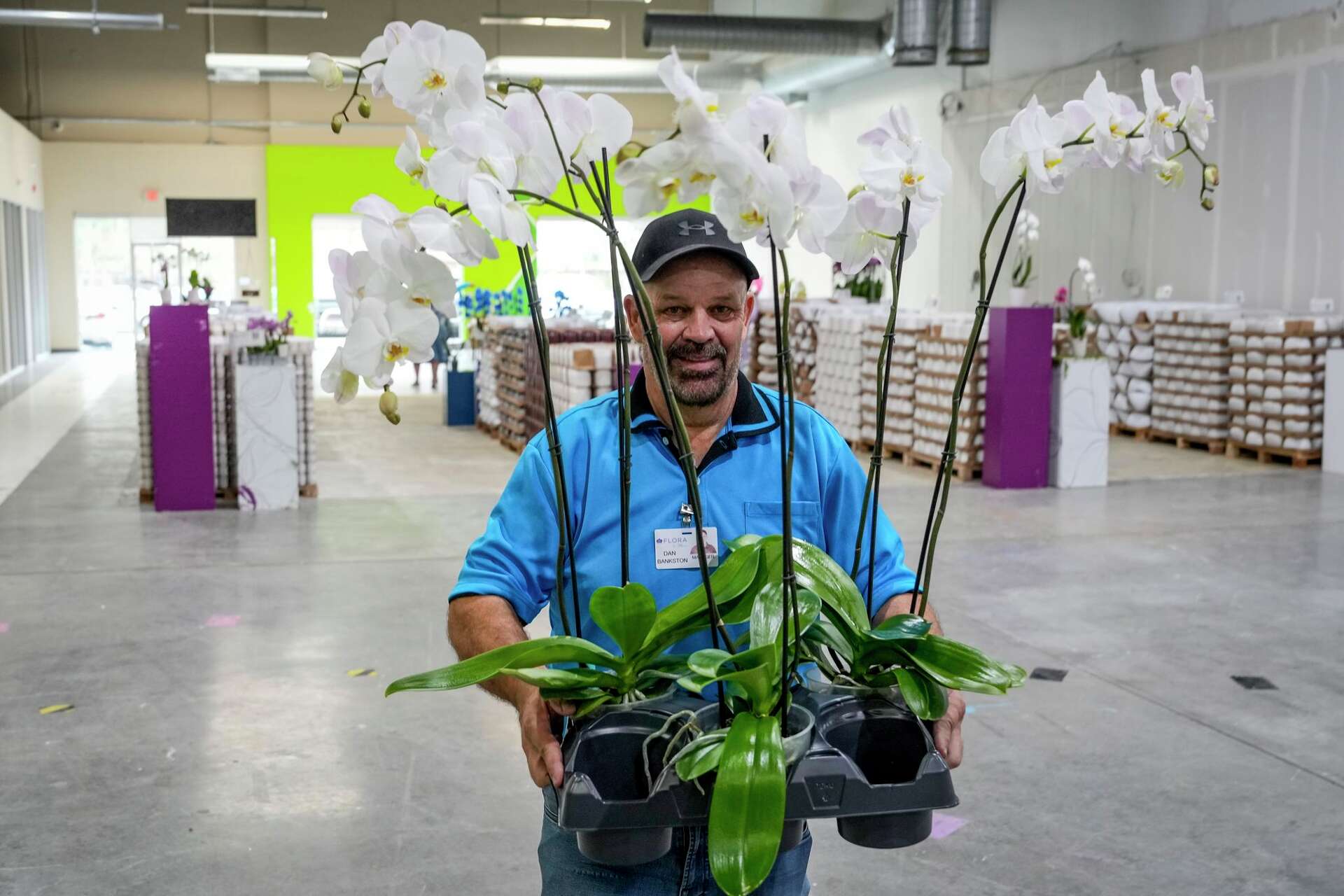 Orchid specialist Flora & More opens first location in Houston