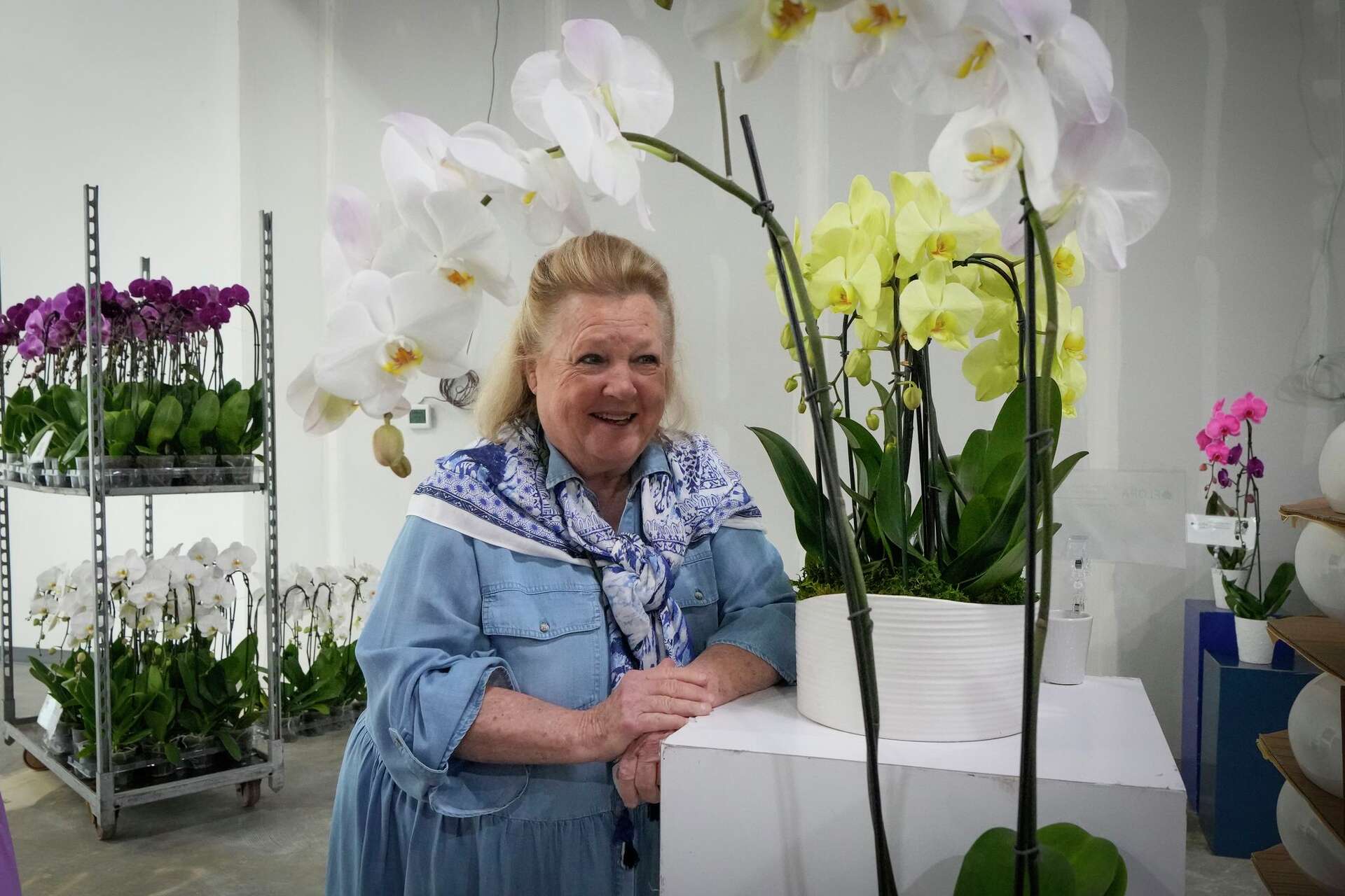 Orchid specialist Flora & More opens first location in Houston