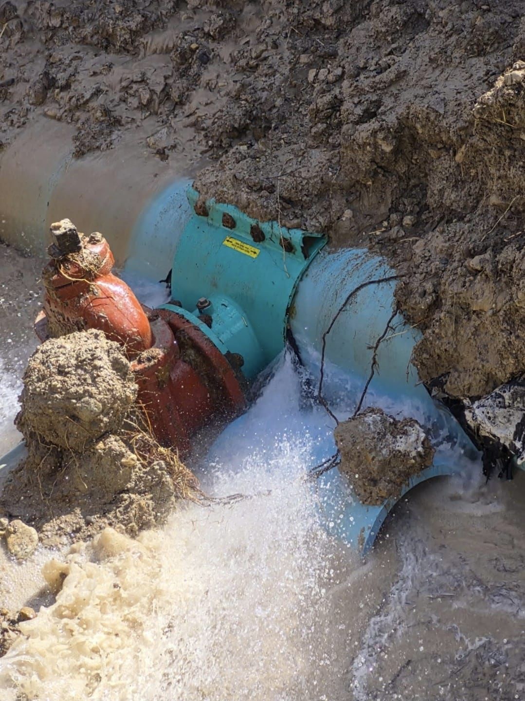 Texas’ Yeremi Hykel Wins MTV’s ‘The Challenge’ Season 41