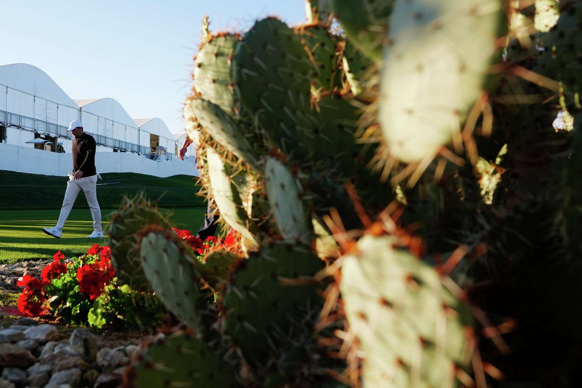 Gotterup shoots 63, Scheffler struggles in first round of Phoenix Open