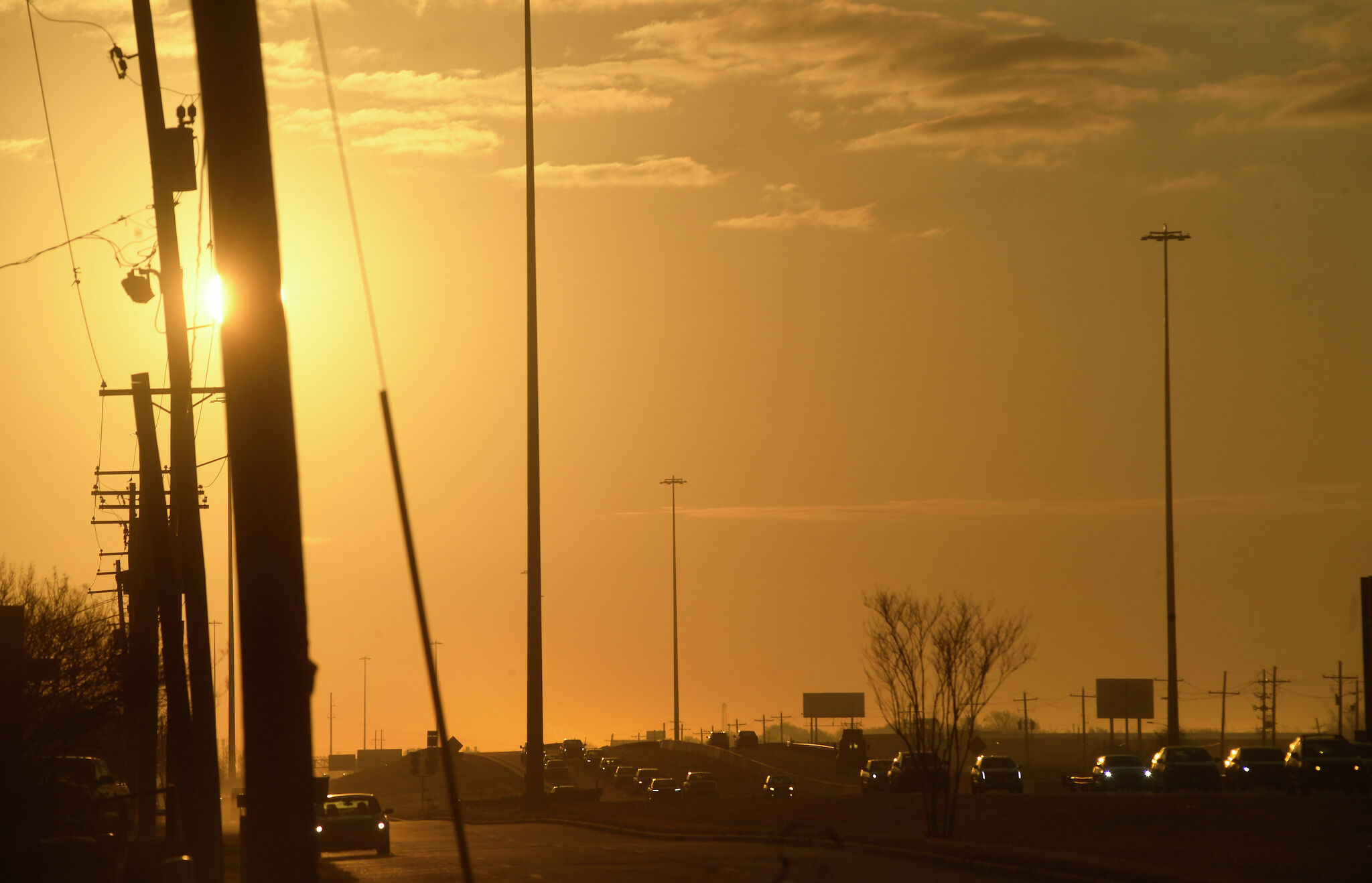 Groundhog Day in Texas: How Big Al and Bee Cave Bob predict winter