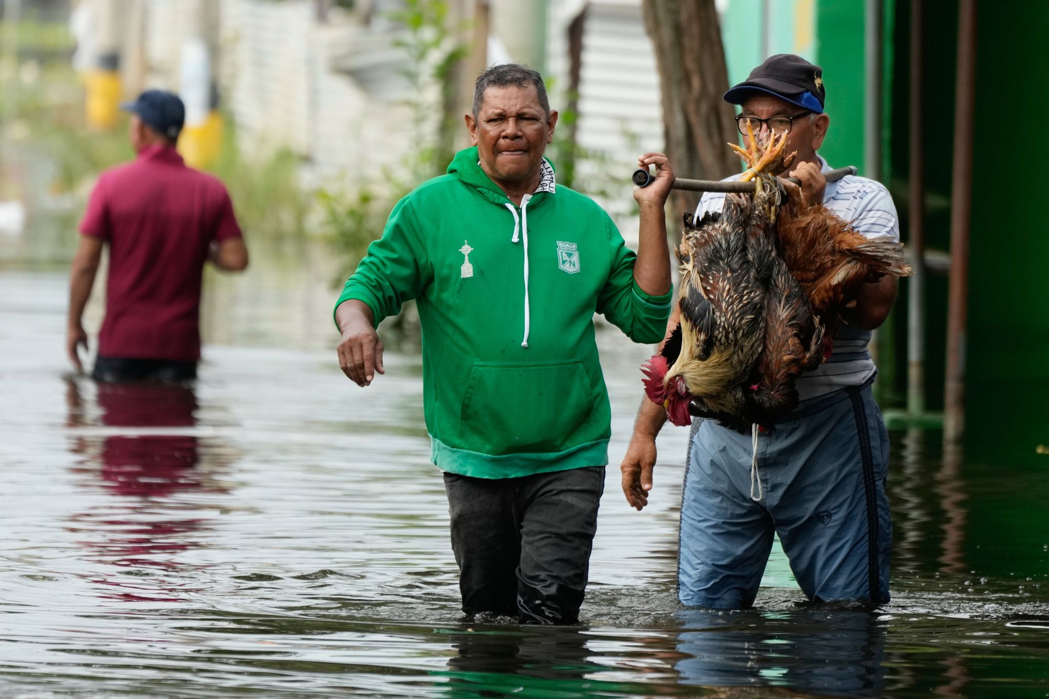 The top photos of the day by AP's photojournalists