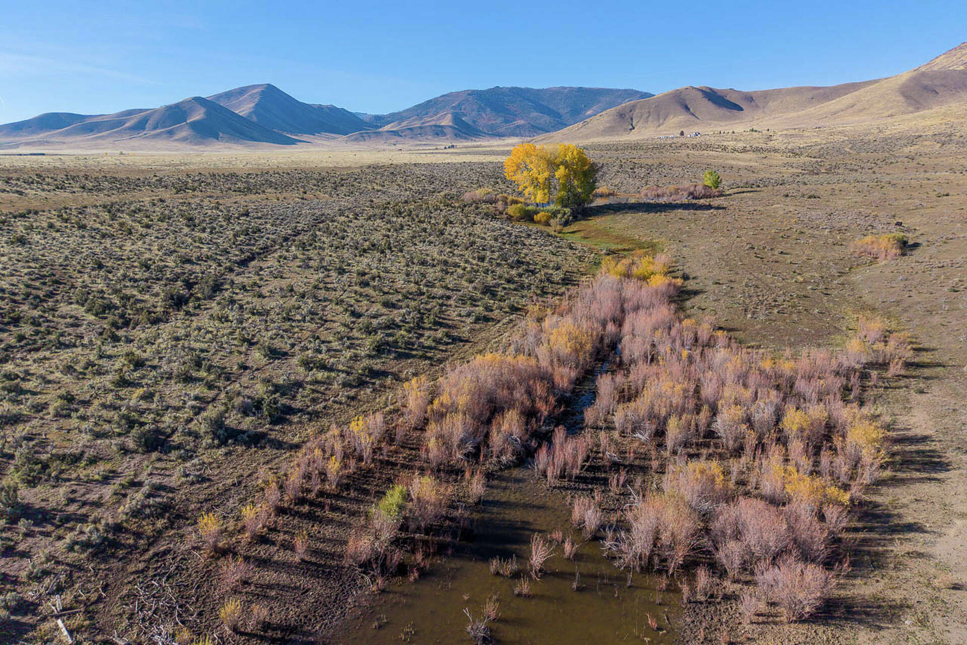California ‘land-back’ deal hands huge area near Tahoe to tribe