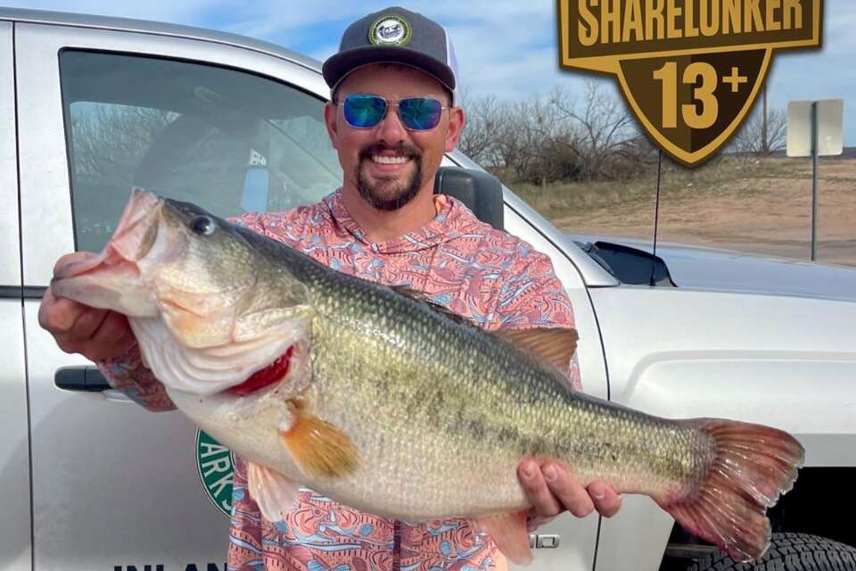Massive 14-pound bass caught at Texas lake sets new record
