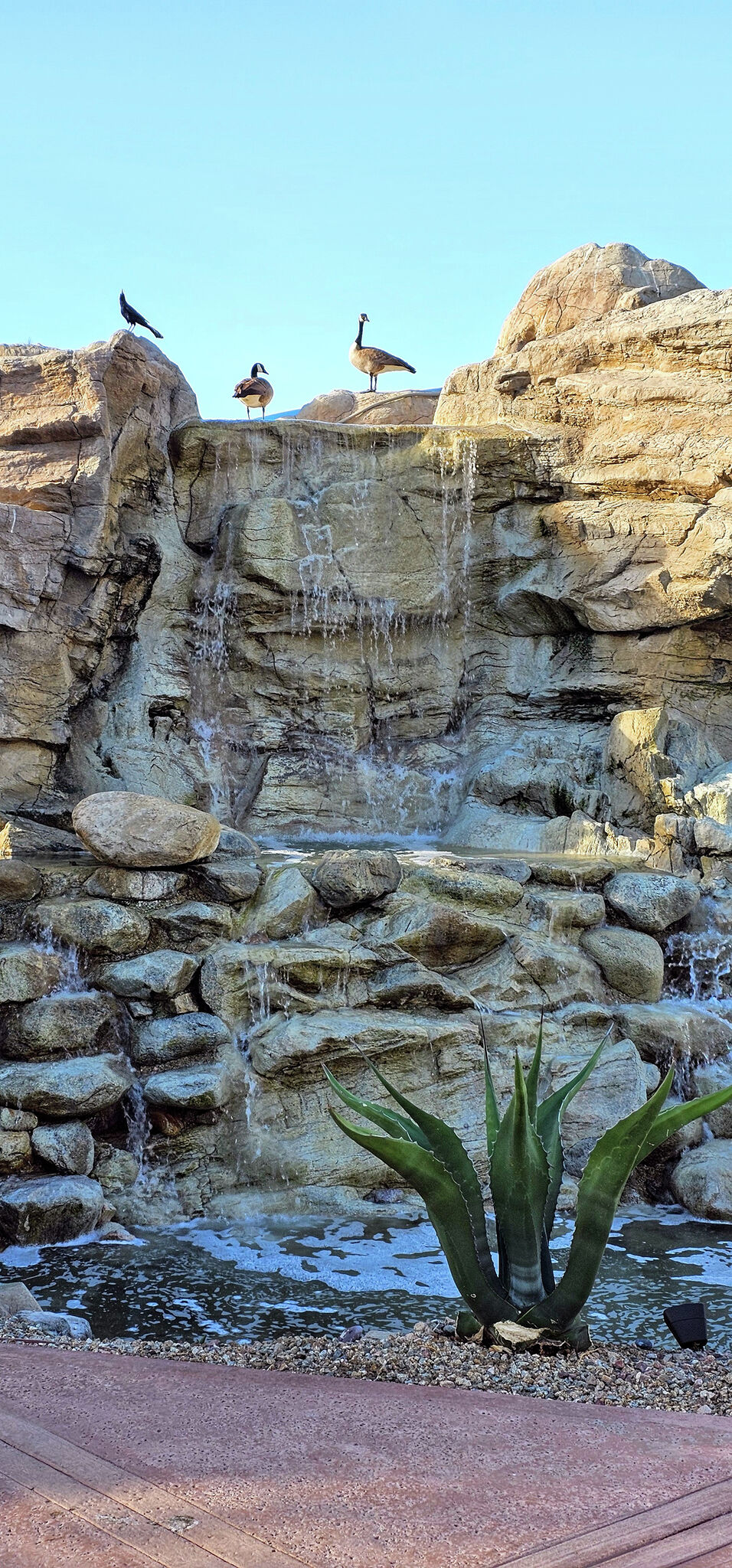 Miller's fitness boosts recent runner-up South Africa at the T20 World Cup