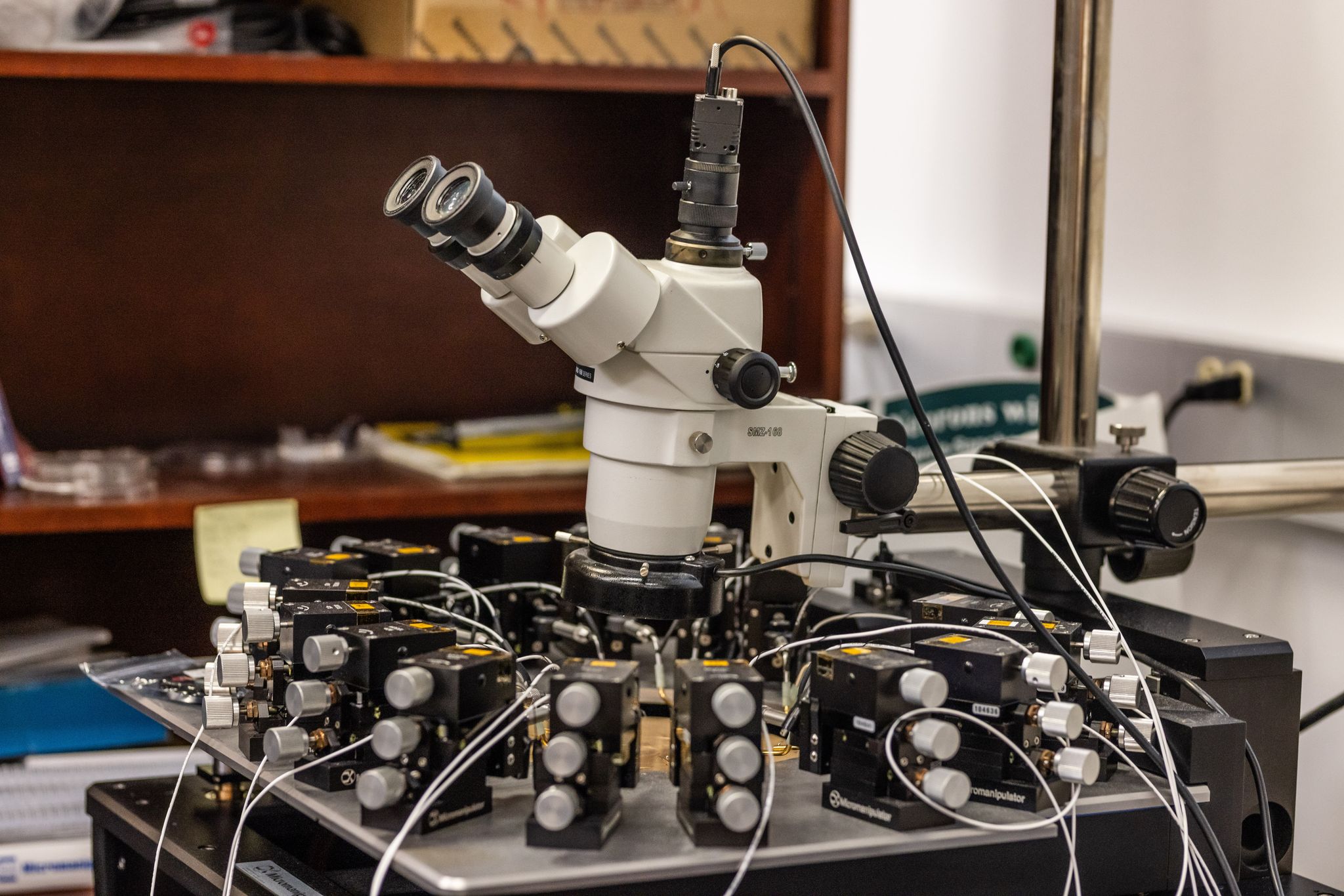 Making computer chips more brainlike could cut AI energy demands