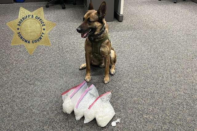 Bay Area deputies: 2 busted after dog finds 9 pounds of suspected meth